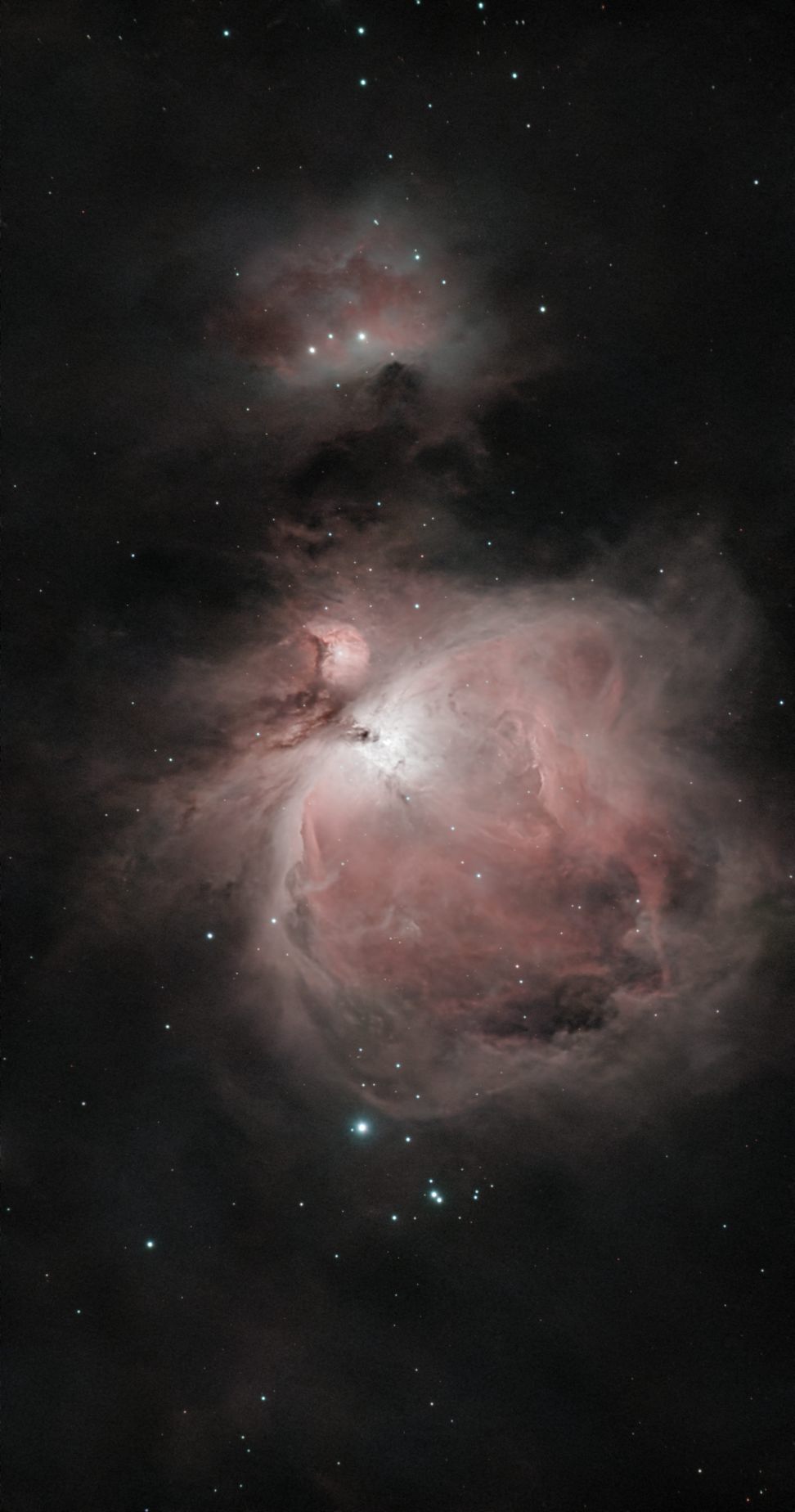 Messier 42 – Linda's Astronomy Adventures