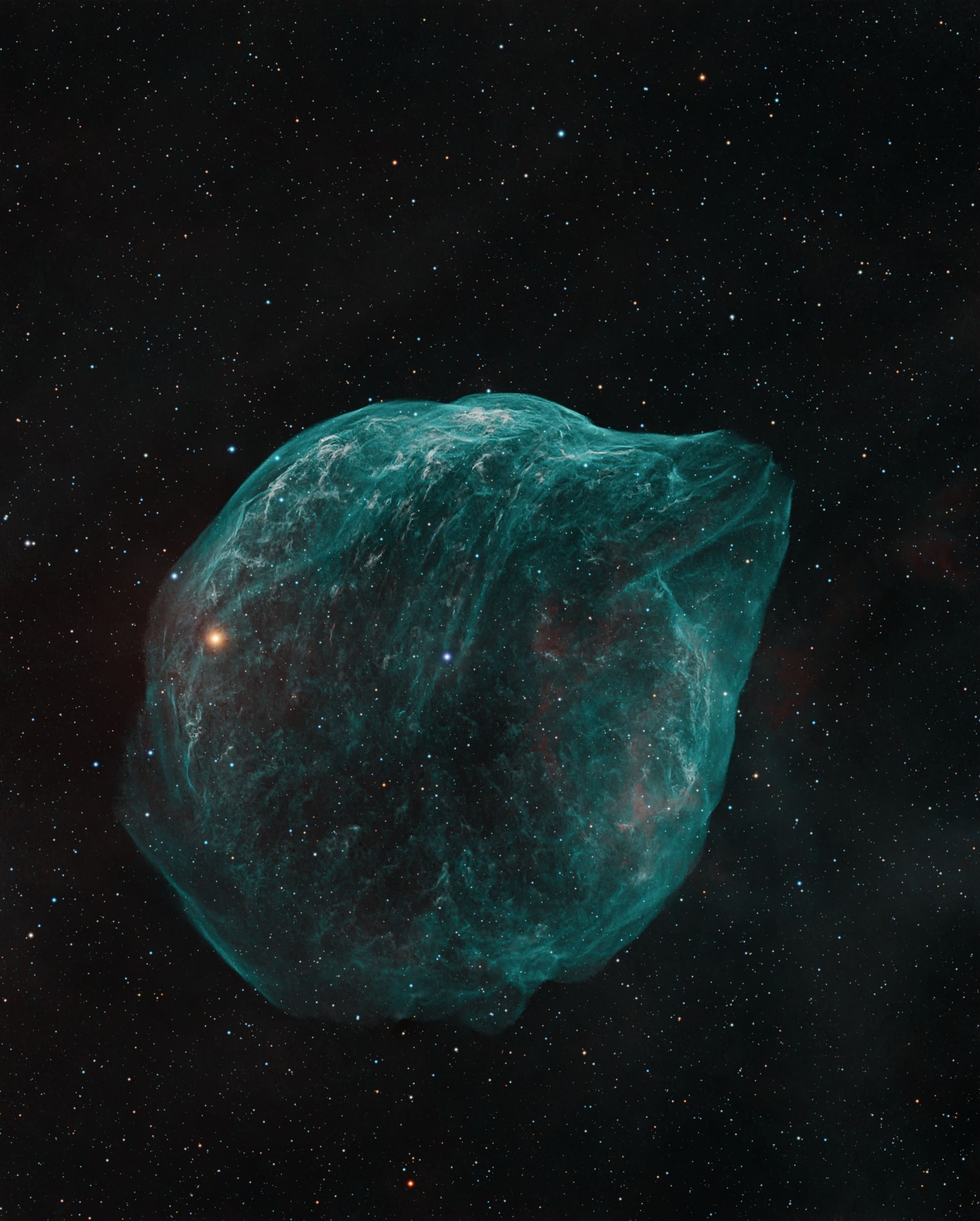 Dolphin Head Nebula – Linda's Astronomy Adventures